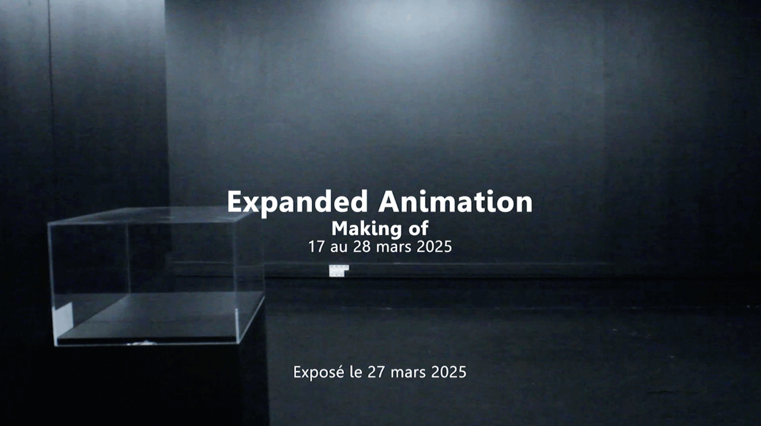 Making-of de l’atelier Expanded Animation - EMCA